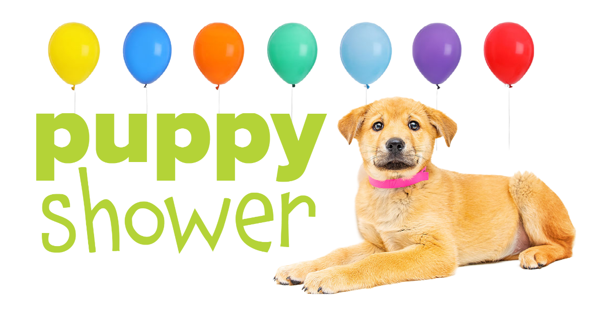 Puppy Shower - Lenawee Humane Society