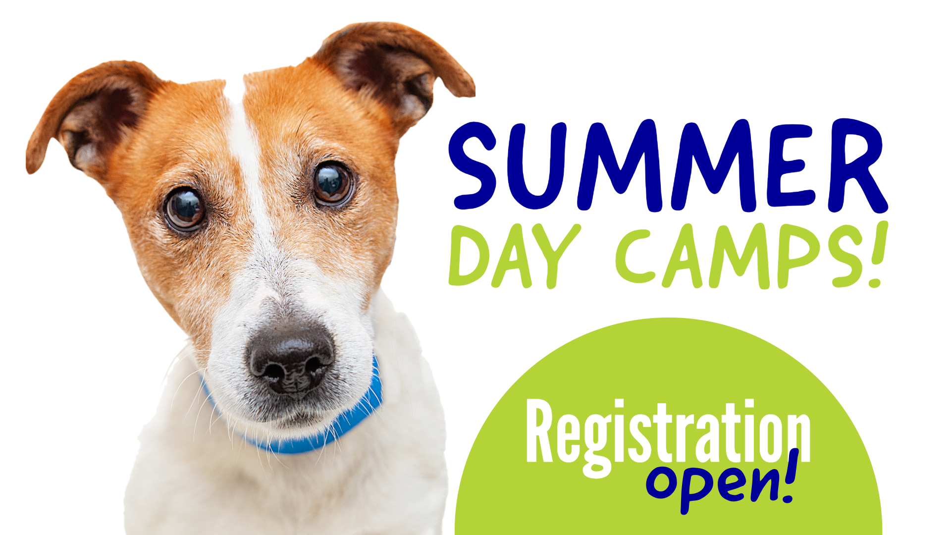 Summer Day Camps - Lenawee Humane Society