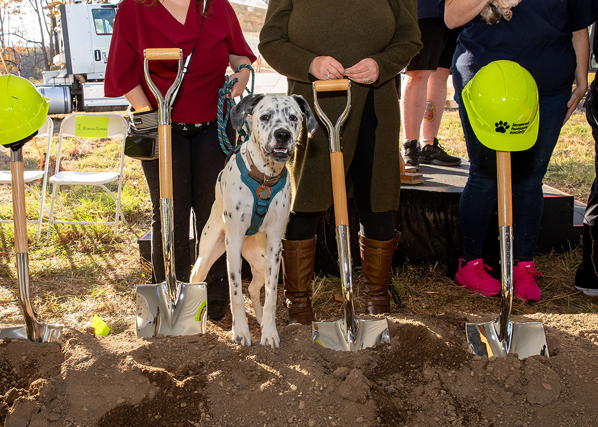 Campaign for Hope - Lenawee Humane Society